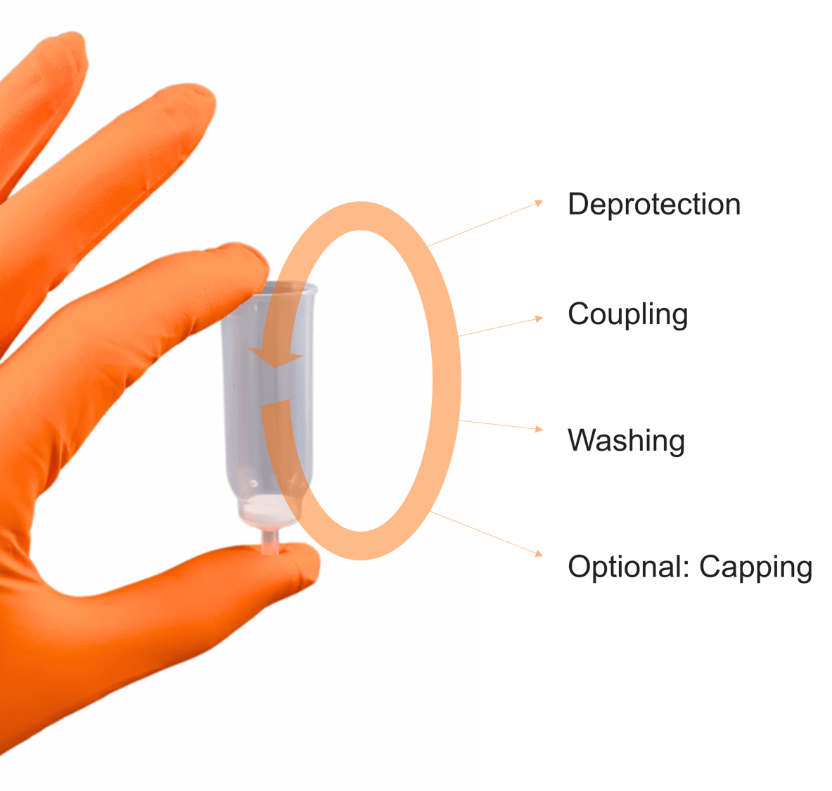 Getting Started with Automated Peptide Synthesis Guide | PurePep Blog