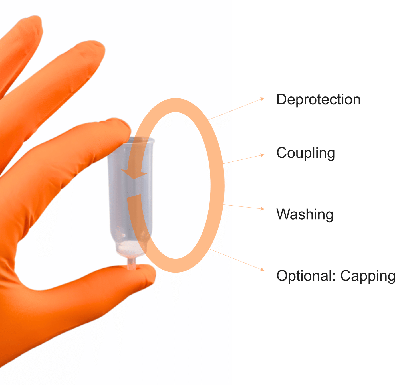 Getting Started with Automated Peptide Synthesis Guide | PurePep Blog