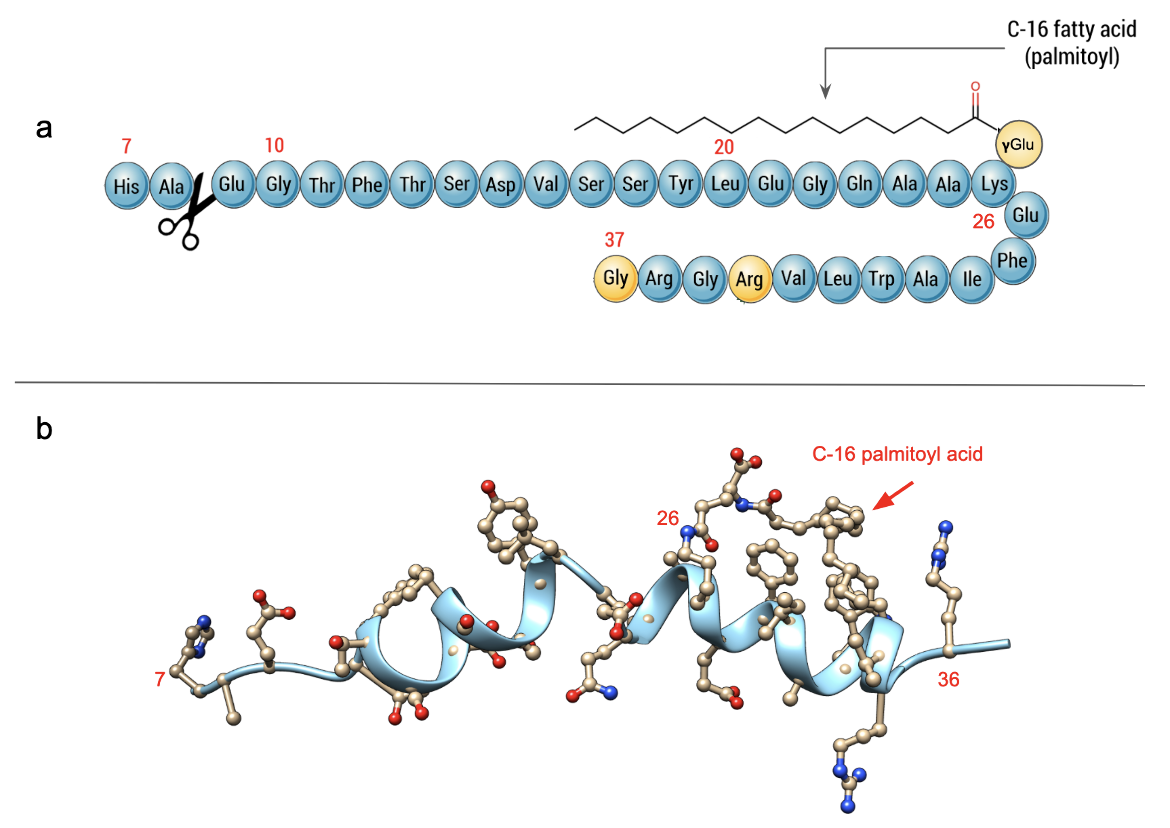 From Lab to Scale: A Game-Changing Approach to Peptide Purification in ...