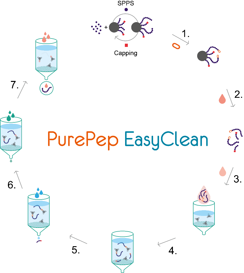FAQ PEC | Peptide Synthesis | Gyros Protein Technologies