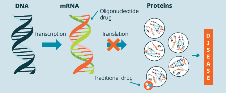 Automated hybridization assays to measure ASO drug levels in biological ...