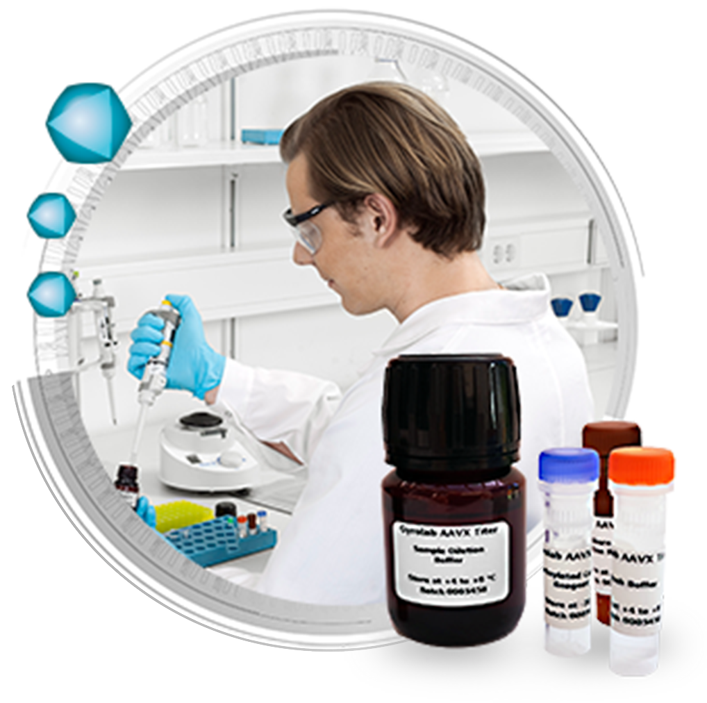 Gyrolab AAVX Titer Kit | Automated Immunoassays
