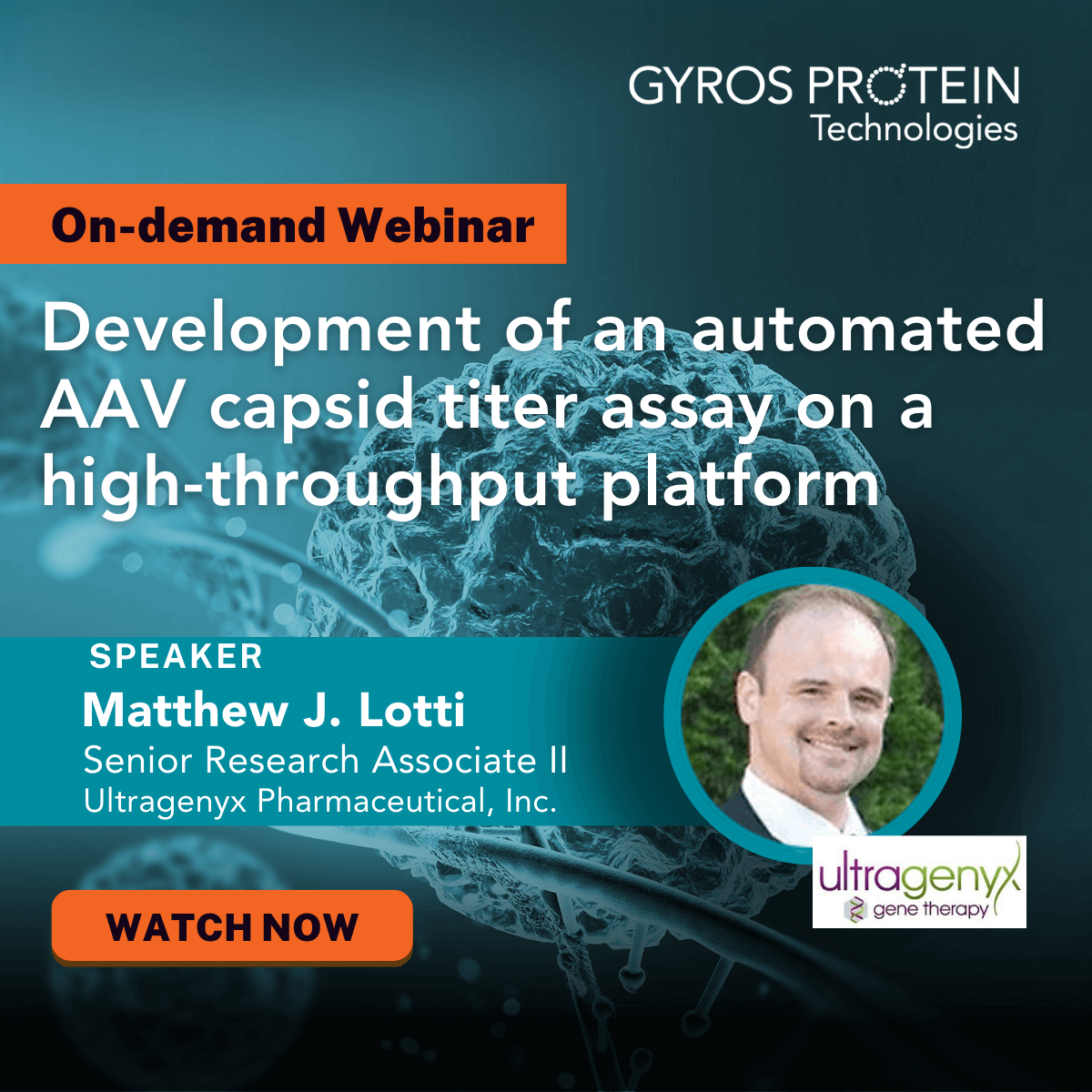 Development of an automated AAV capsid titer assay on a high-throughput ...